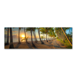 Doug Cavanah 'Palm Cove' Canvas Art, 6"x19" - Tropical - Prints And ...