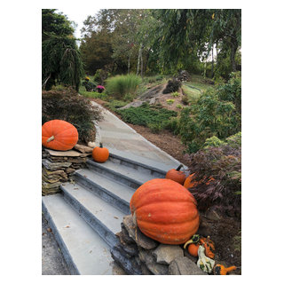 Natural Cleft Bluestone Walkway with Belgian Block Border - New York ...