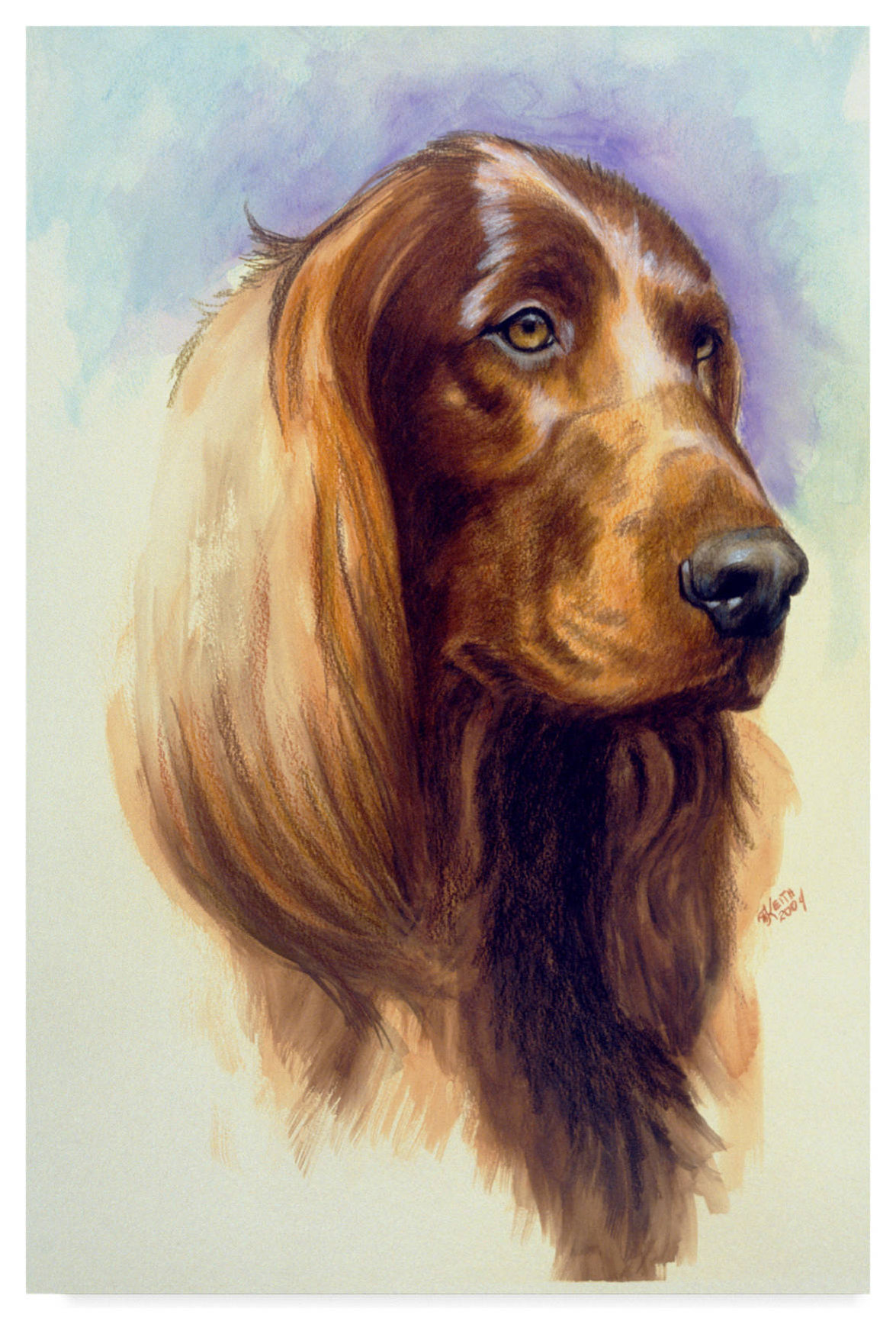 "Irish Setter" by Barbara Keith, Canvas Art, 12"x19" - Contemporary ...