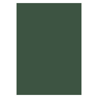 Duck Green, Gallon - Traditional - Paint - by The Paint Store @ Ronald ...