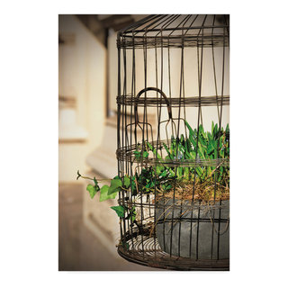 "Caged Spring" by Christine Sainte-Laudy, Canvas Art, 30"x47 ...