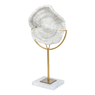 Sandy II, Medium 6"x3" White Coastal Sand Dollar Object, Small - Beach ...