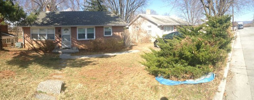 Neglected Yard & Exterior - what to do, where to start?