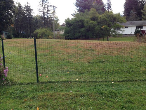 Disguising a raised bed septic system