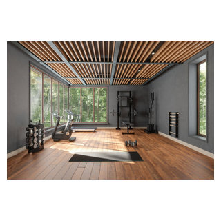 High End Home Addition - Home Gym - Cincinnati - by Remark Construction ...