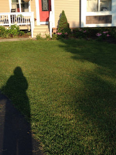 Landscaping the corner slope | Houzz Forum