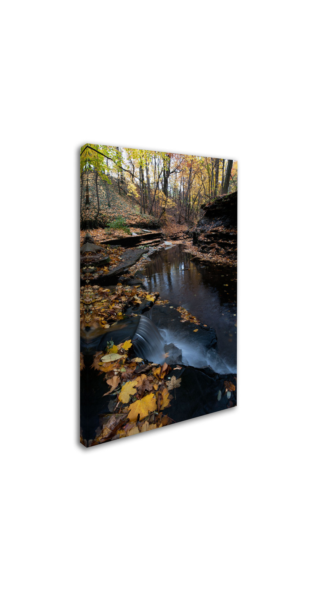 'Autumn Stream' Canvas Art by Kurt Shaffer, 12" x 19" - Rustic - Prints ...