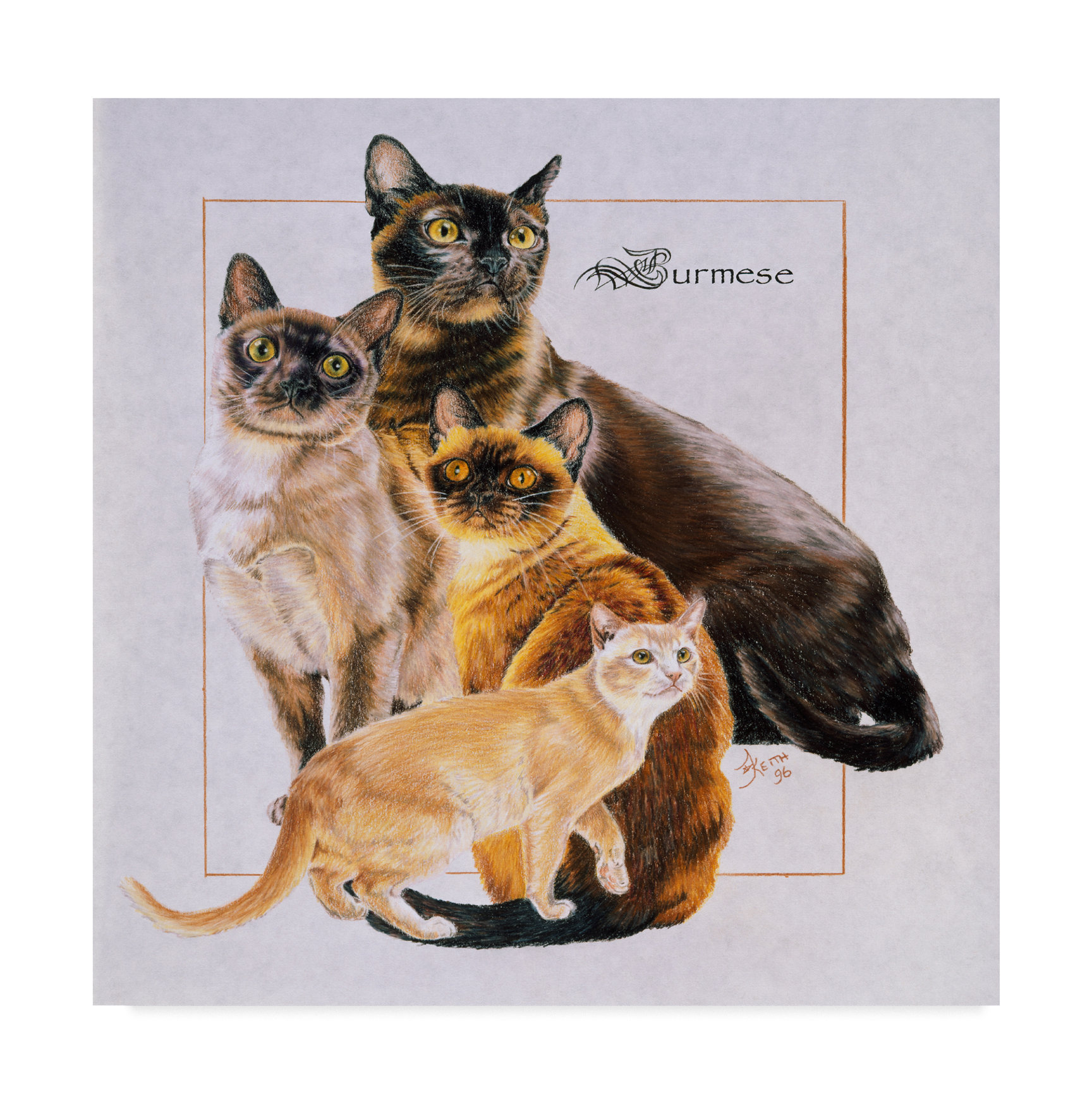 "Burmese" by Barbara Keith, Canvas Art, 18"x18" - Contemporary - Prints ...