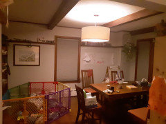 Ceiling fan over dining table?