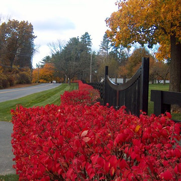 75 Red Landscaping Ideas You'll Love - June, 2026 | Houzz