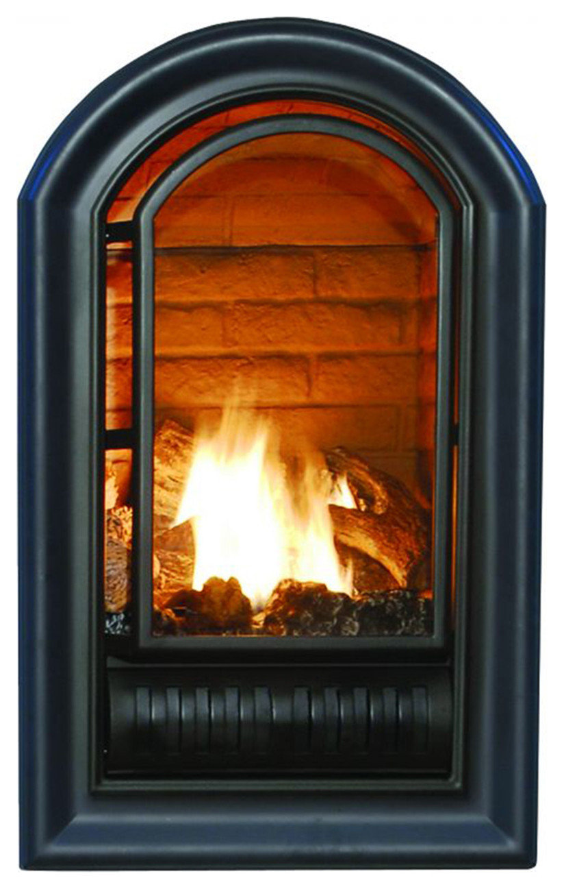 Ventless Liquid Propane Fireplace Insert, 20,000 BTU - Transitional ...