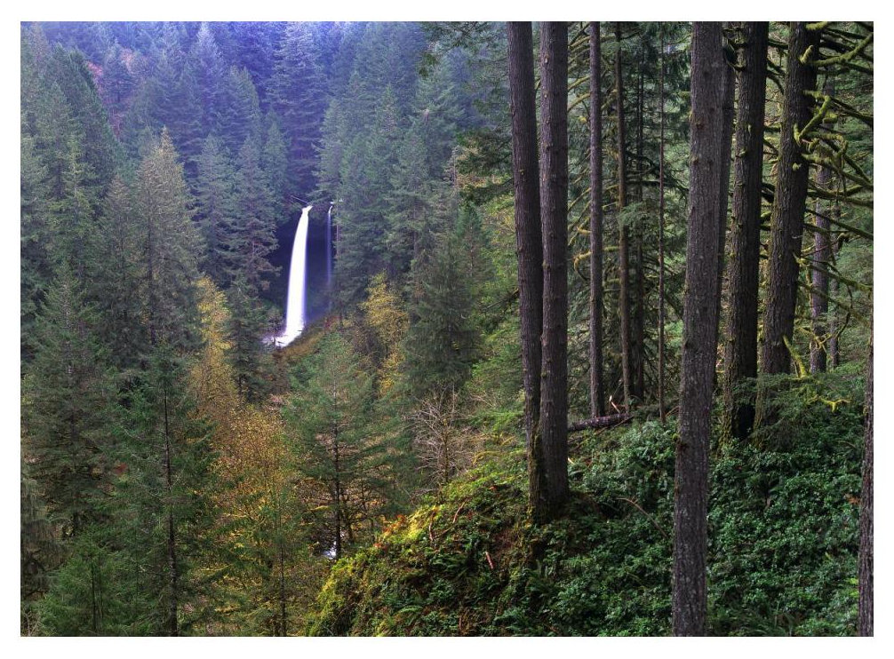 "North Falls, Silver Falls State Park near Salem, Oregon" Paper Art, 18 ...
