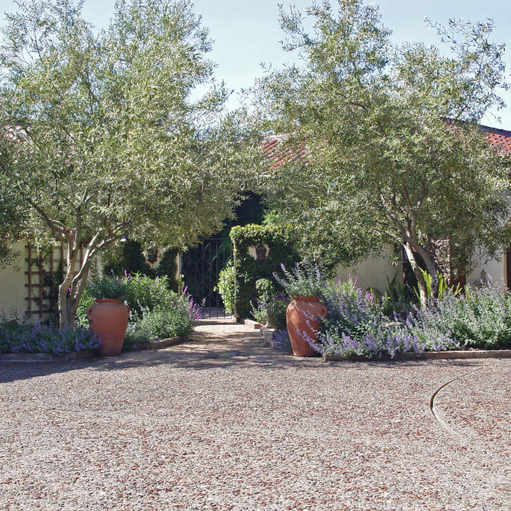 75 Beautiful Xeriscape Ideas & Designs - June 2025 | Houzz AU