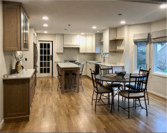 Hanstone Le Blanc Quartz Counters / backsplash options