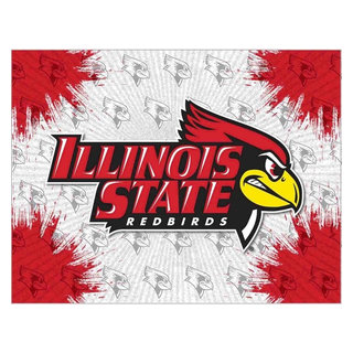 Illinois State Logo Canvas, 32"x24" - Contemporary - Prints And Posters ...