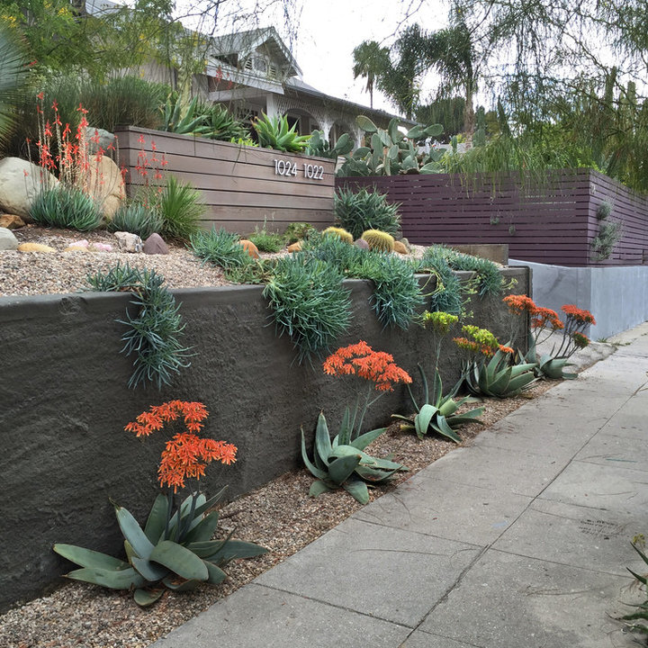 75 Beautiful Xeriscape Ideas & Designs - July 2024 | Houzz AU