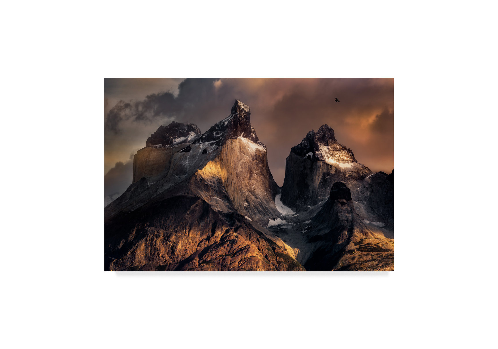 Vincent Chen 'The Horns At Sunrise' Canvas Art, 32"x22" - Contemporary - Prints And Posters - by ...