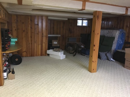ideas for my ugly basement?