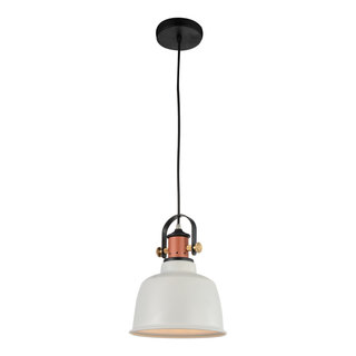 Crystal World 1 Light Black Down Pendant - Traditional - Pendant ...