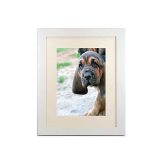 Wide Satin White Picture Frame, 1 1/4" Wide, With Matting, 8"x10 ...