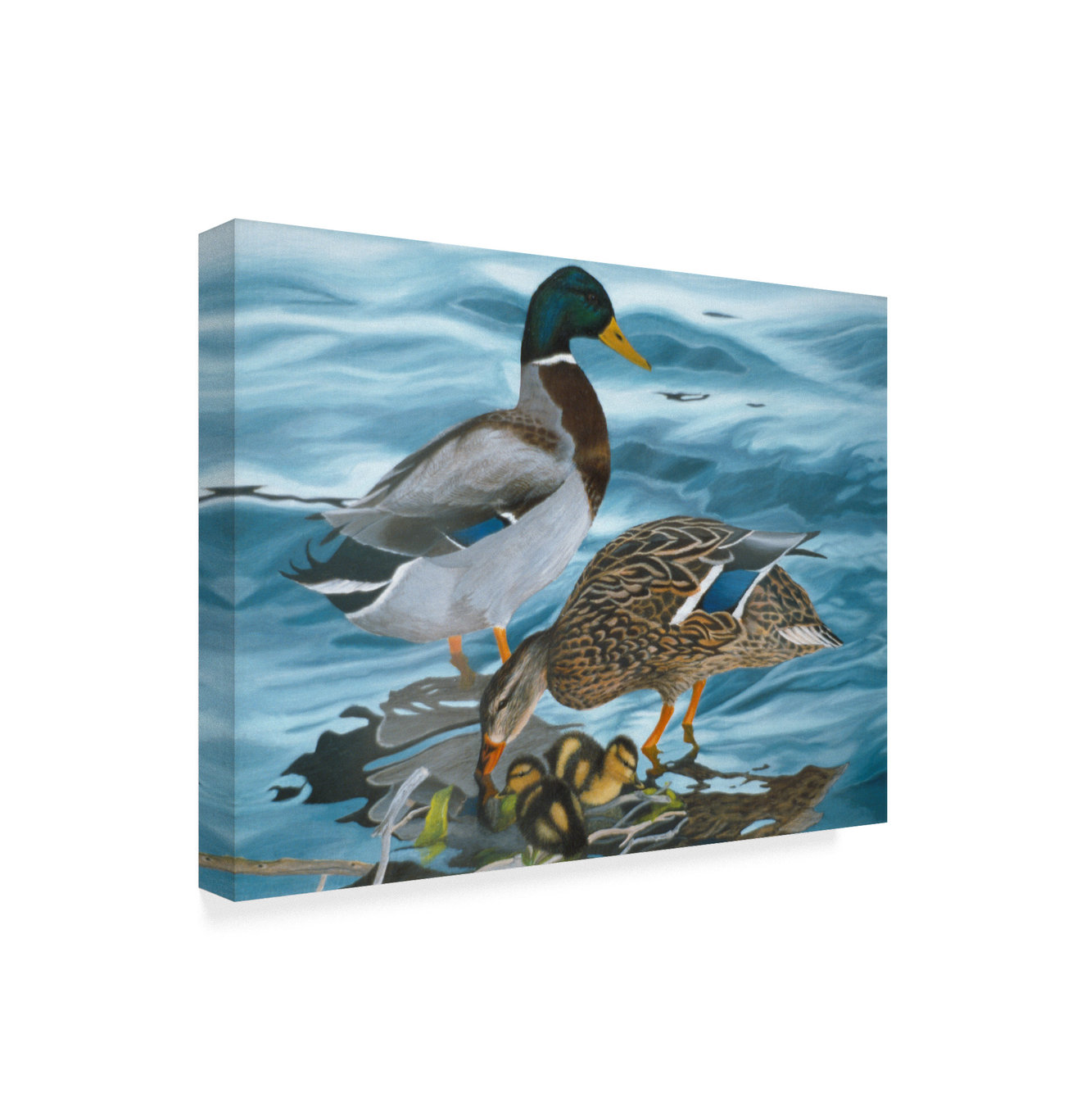 Rusty Frentner 'Mallard Family' Canvas Art, 24"x18" - Rustic - Prints ...