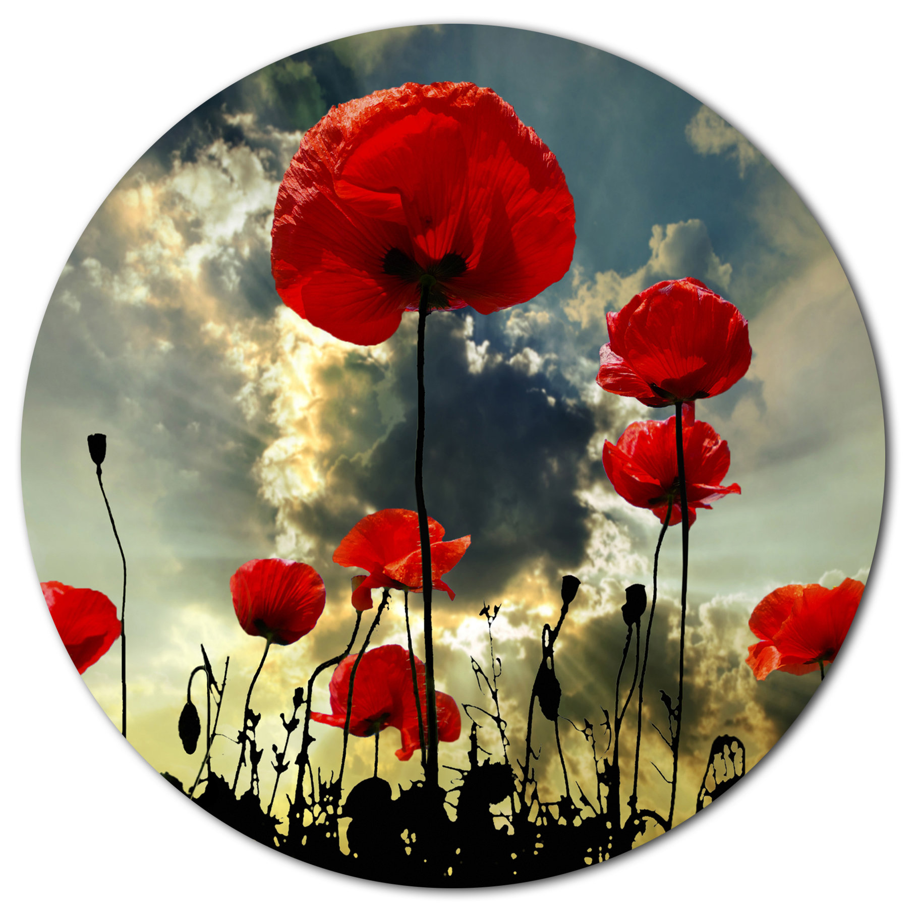 Poppies On Thunderstorm Background, Modern Floral Round Wall Art, Disc ...