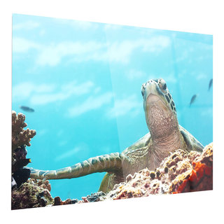 "Green Turtle underwater View", 48"x40" - Beach Style - Metal Wall Art ...