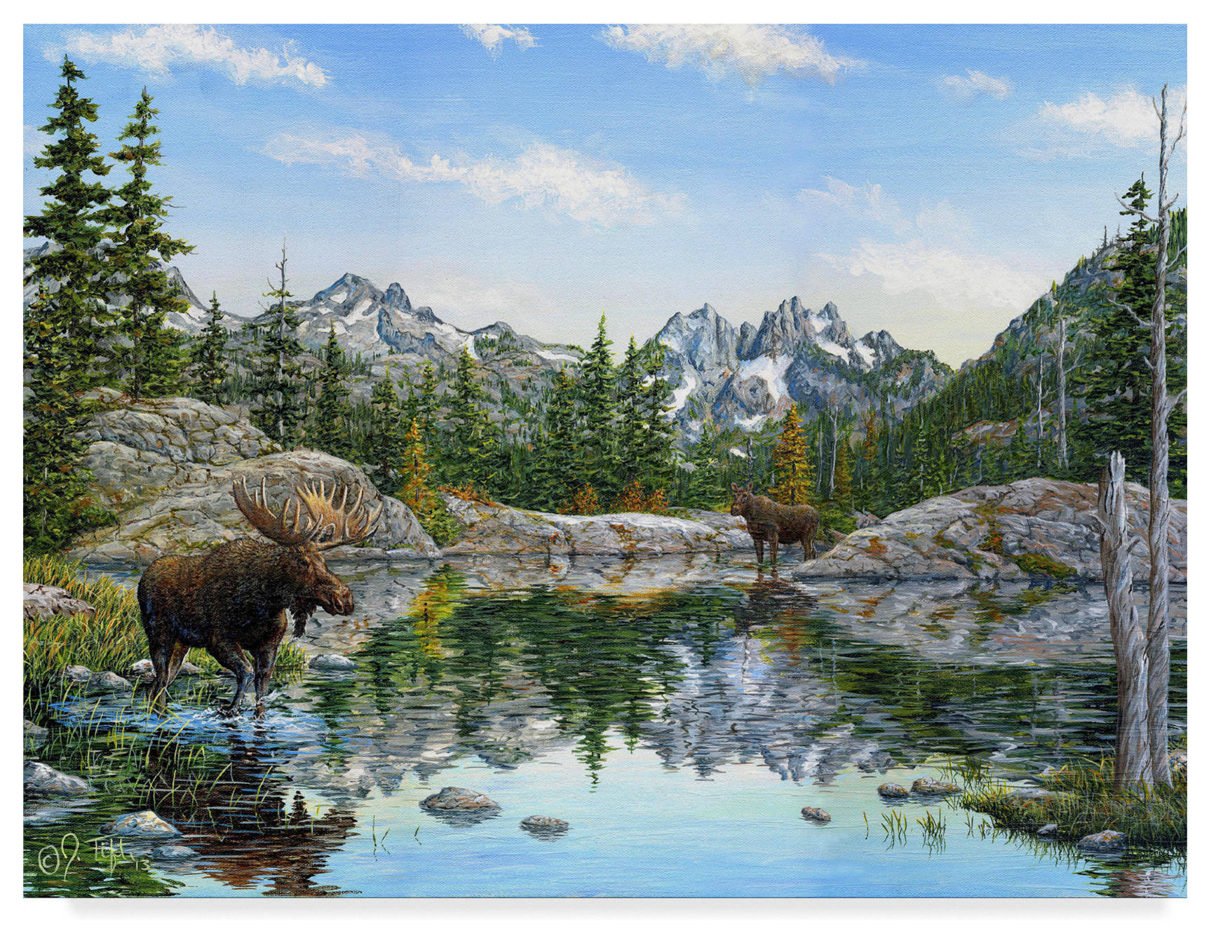 Jeff Tift 'Moose' Canvas Art, 47"x35" - Rustic - Prints And Posters ...