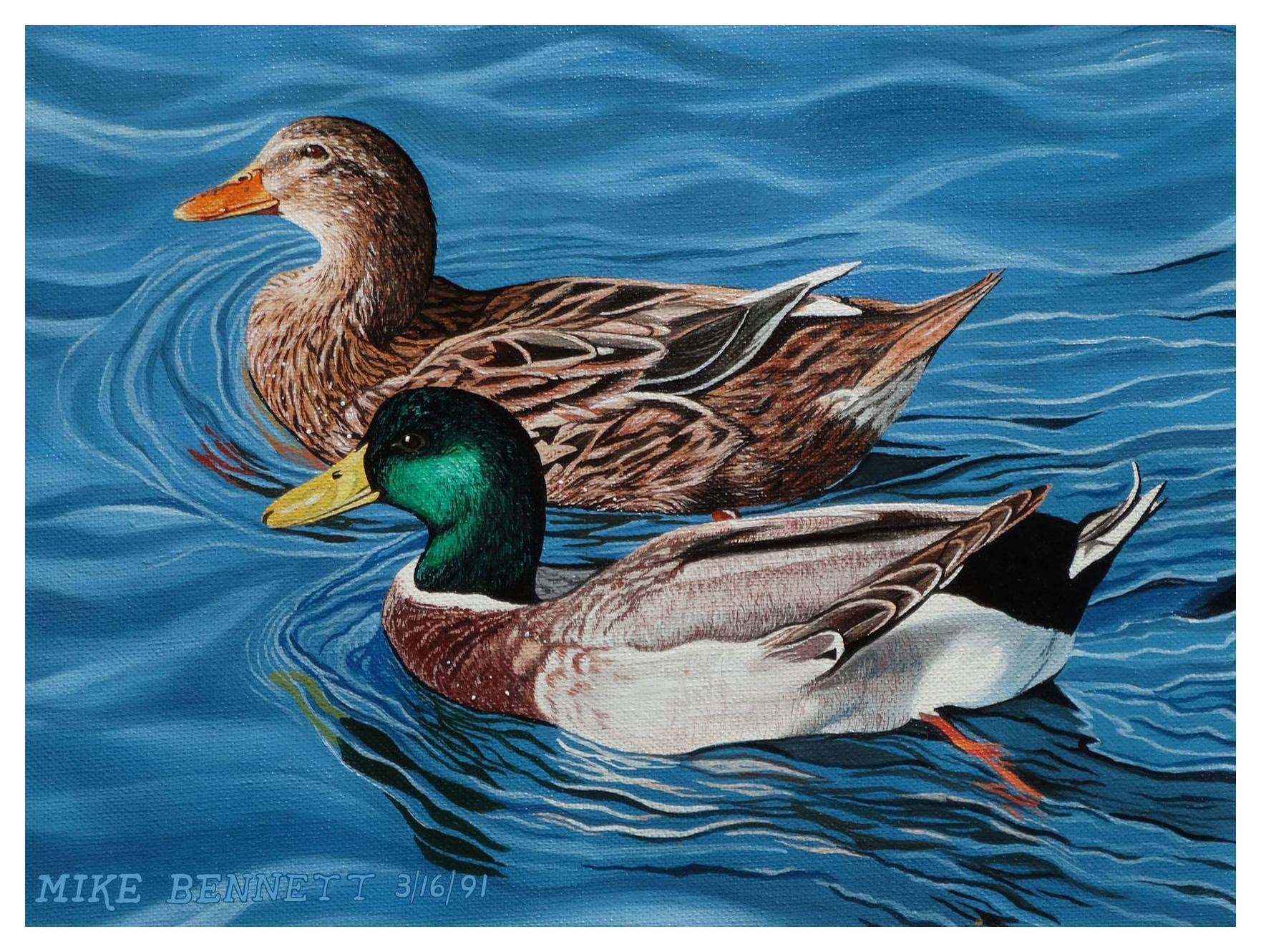 Mike Bennett Mallards #1 Art Print, 18"x24" - Contemporary - Fine Art ...