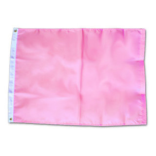 Pink, 12"x18" Solid Color Nylon Flag, 3'x5' - Contemporary - Flags And ...