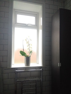 These Bathroom Window Treatments Guarantee Privacy & Style