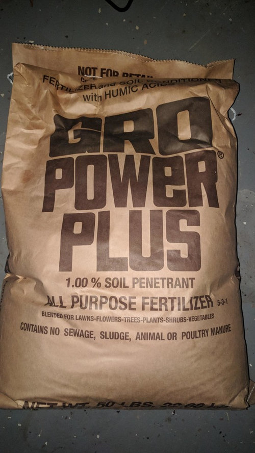 Logan Lab Results - Can You Help Explain Results?