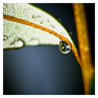 "Look Closely", 45" x 45" - Contemporary - Prints And Posters - by JVA ...