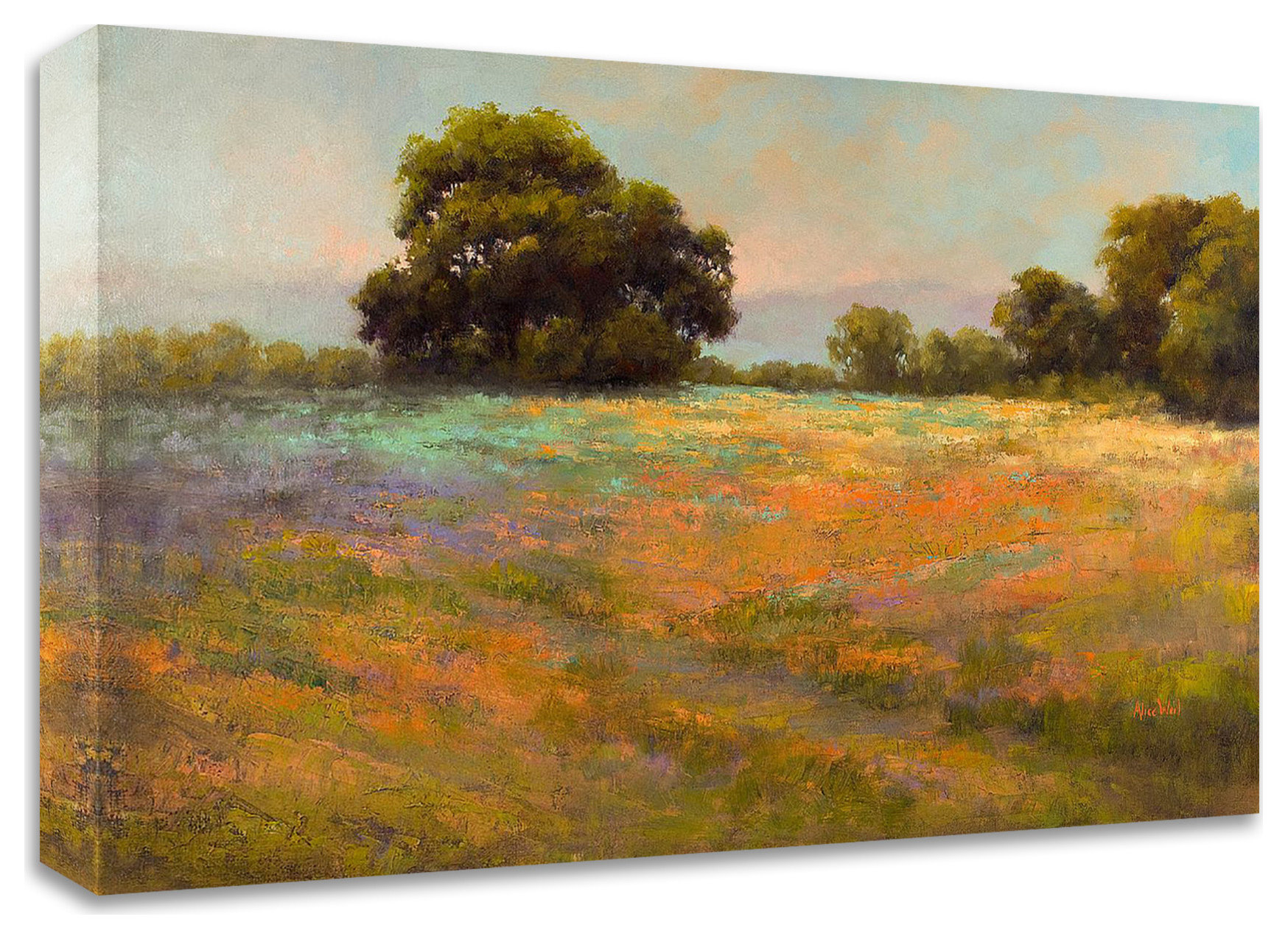 "Spring Meadow" by Alice Weil, Print on Canvas, 36"x24", 36 x 24 ...
