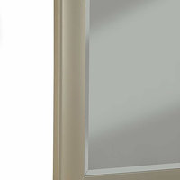Contemporary Full Length Leaner Mirror With Polystyrene Frame, Brushed ...