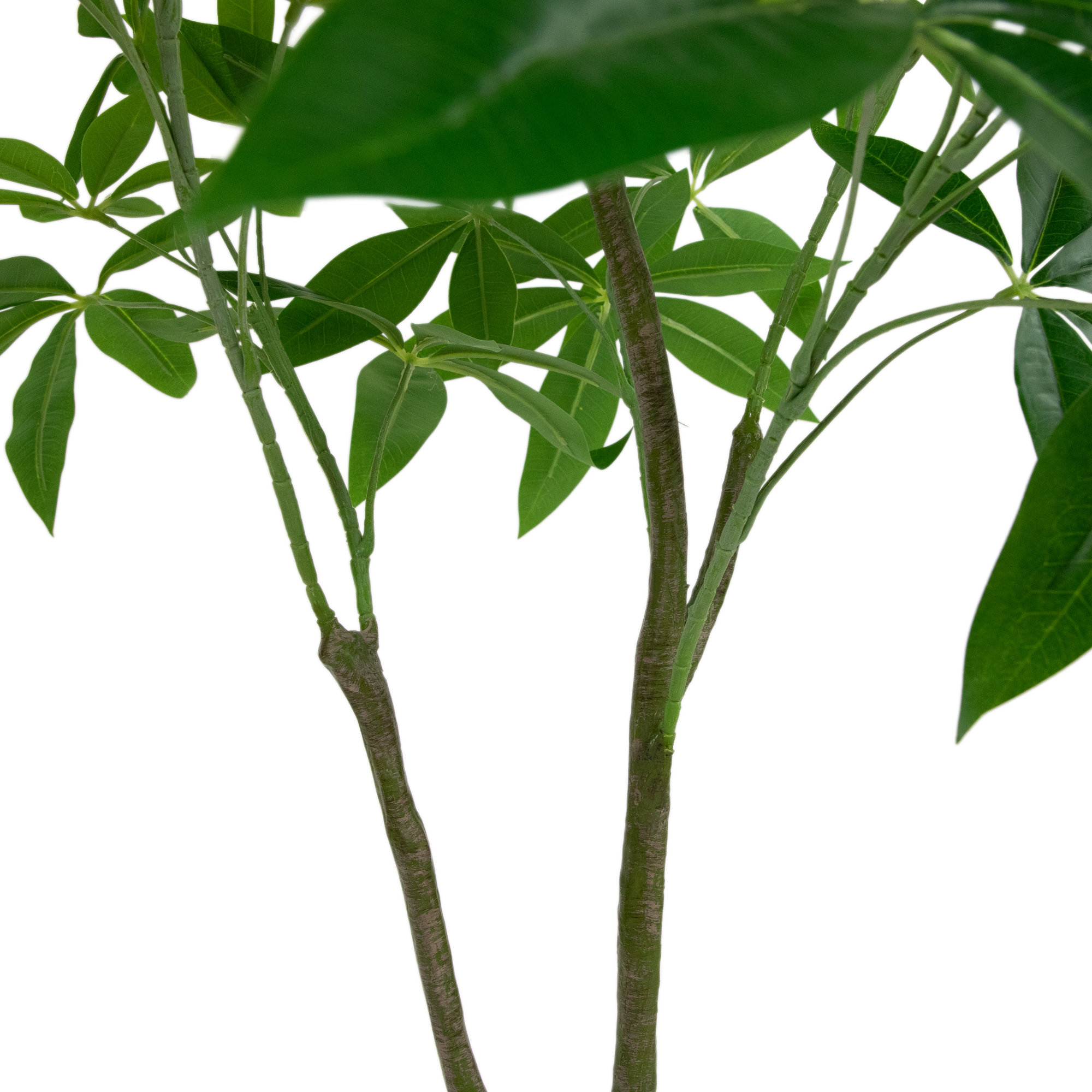 4' Artificial Unbraided Potted Green Money Tree - Modern - Artificial ...