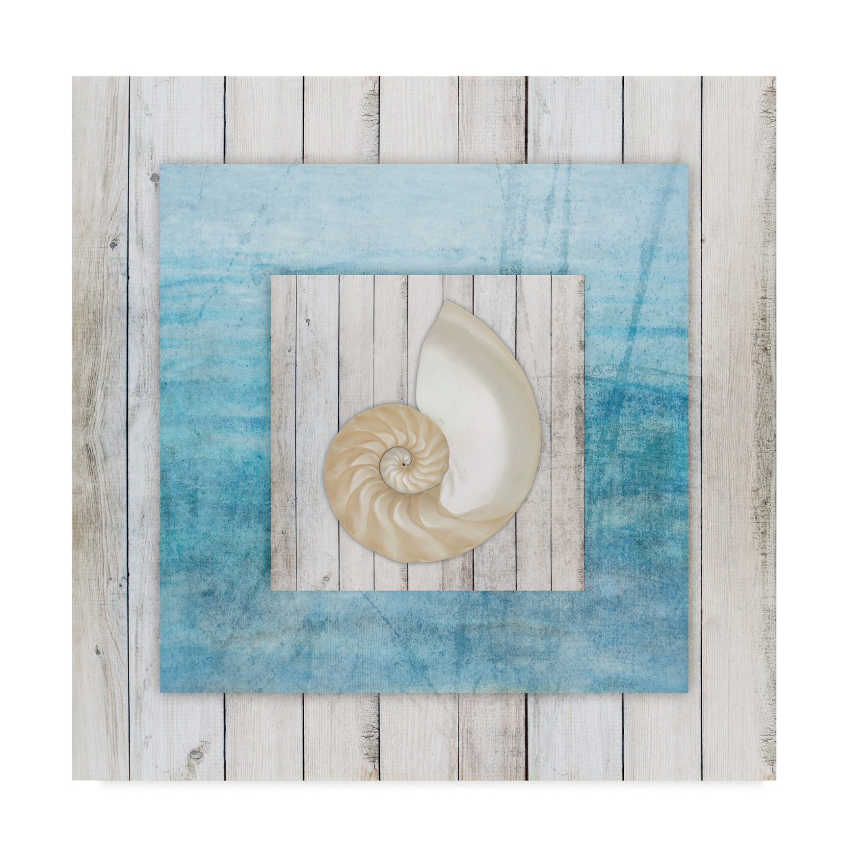 "Blue Frame Spiral Shell" by Lightboxjournal, Canvas Art, 18"x18 ...