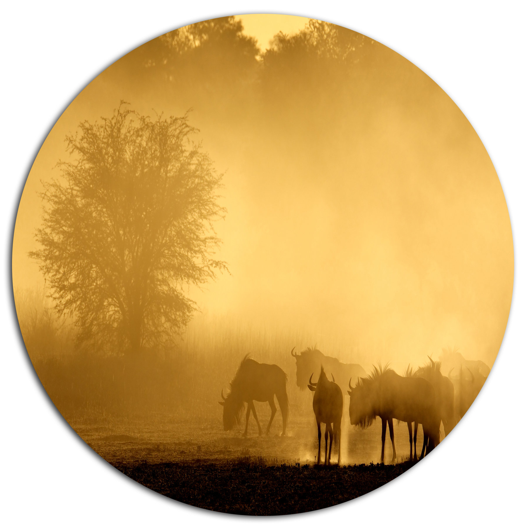 Blue Wildebeest At Sunrise, African Disc Metal Wall Art, Disc of 38 ...