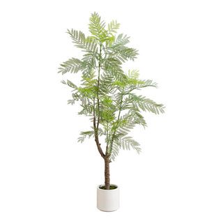 6ft. Artificial Minimalist Jacaranda Tree, White Decorative Planter ...