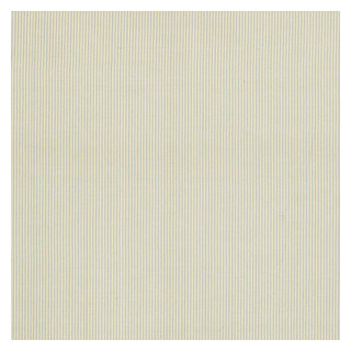SAMPLE Schumacher Charee Silk Stripe Fabric, Light Blue and White ...