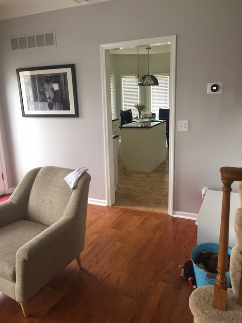 Kitchen Remodel Brainstorm/Ideas? | Houzz Forum