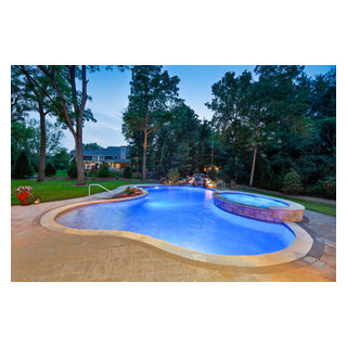 Naperville, IL Freeform Swimming Pool with Raised Hot Tub - Traditional ...