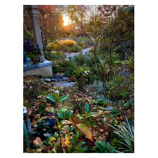 New Mediterranean Water Management Gardens - Mediterranean - Landscape ...