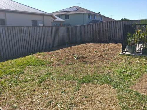 screening privacy from neighbours | Houzz AU