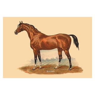 Sultan, 20" x 30" - Traditional - Prints And Posters - by Buyenlarge ...