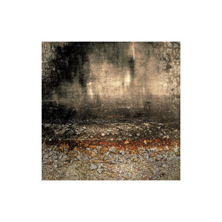 Earth Toned Photographic Art, Andrew Martin History, Small ...