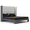 Modrest Heloise Contemporary White Leather and Gray Elm Trim Bed ...