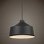 Holgate 1 Light Black Pendant - Transitional - Pendant Lighting - by ...