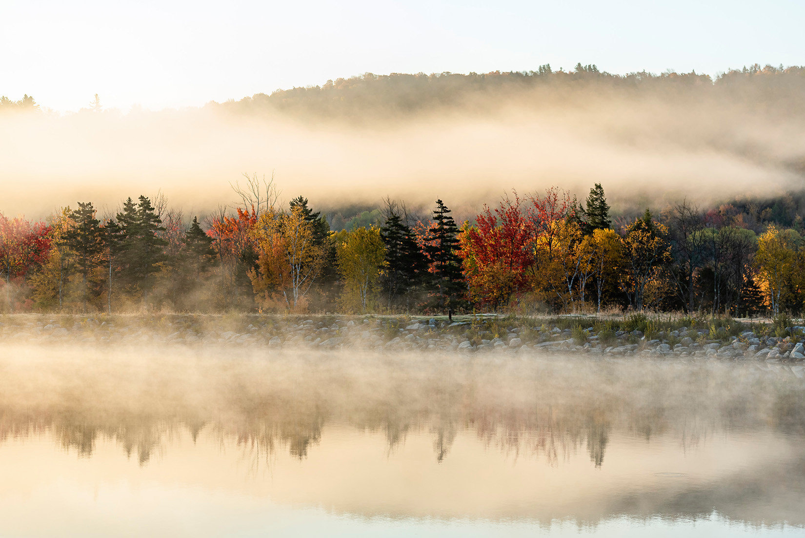 Whispy Fall Mornings Fine Art Photography Print, 40"x60" - Contemporary ...