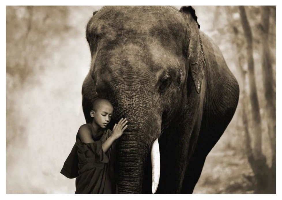 "Healing Embrace" Digital Paper Print by Moreau, 20"x14", 22"x32 ...